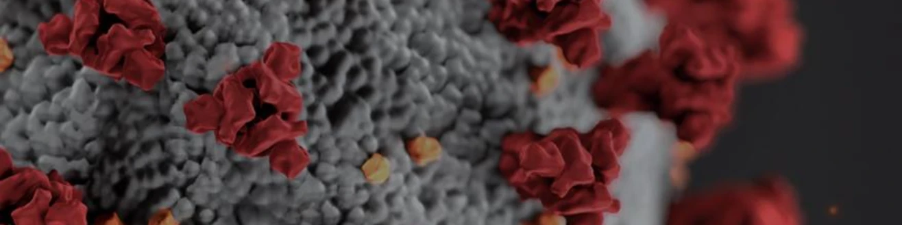 Institute of Biomedical Materials and Devices (IBMD) | University of ...